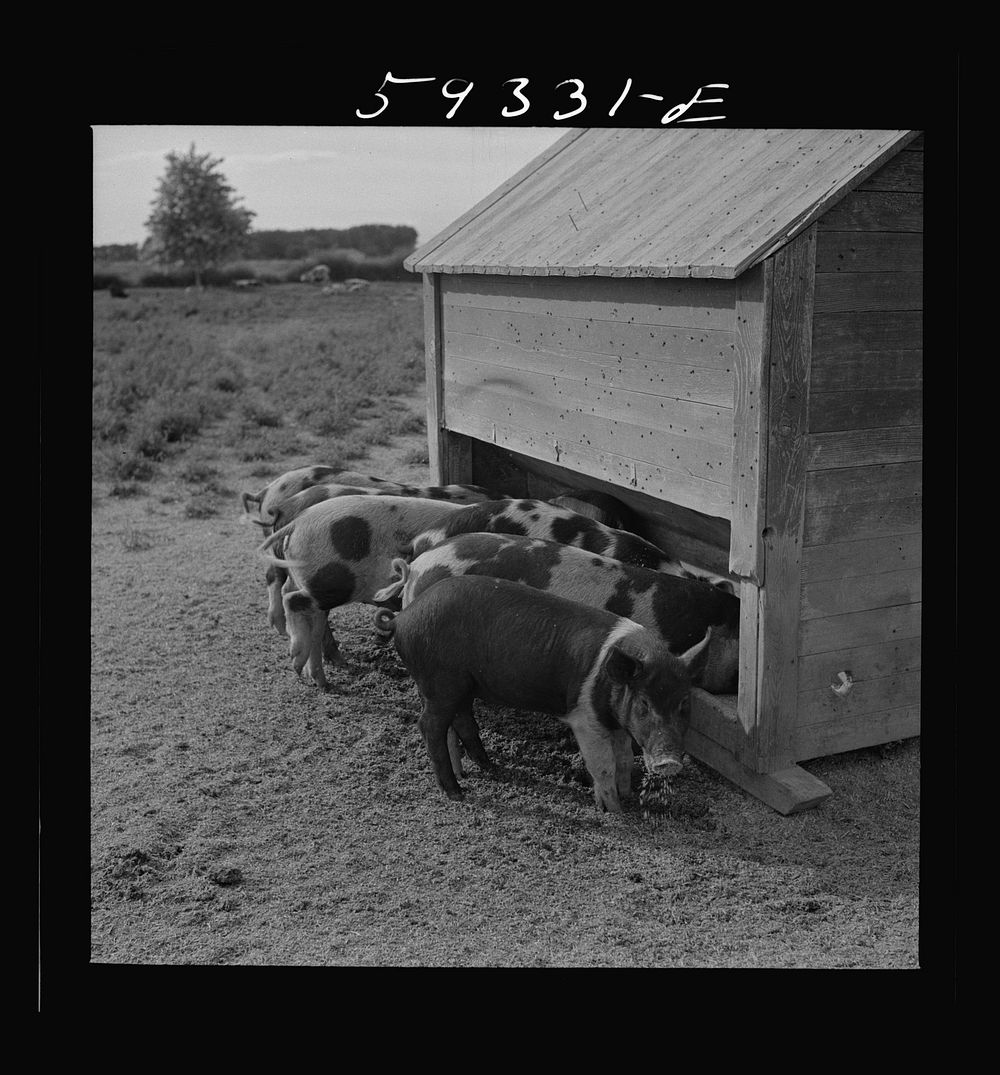 [Untitled photo, possibly related to: | Free Photo - rawpixel