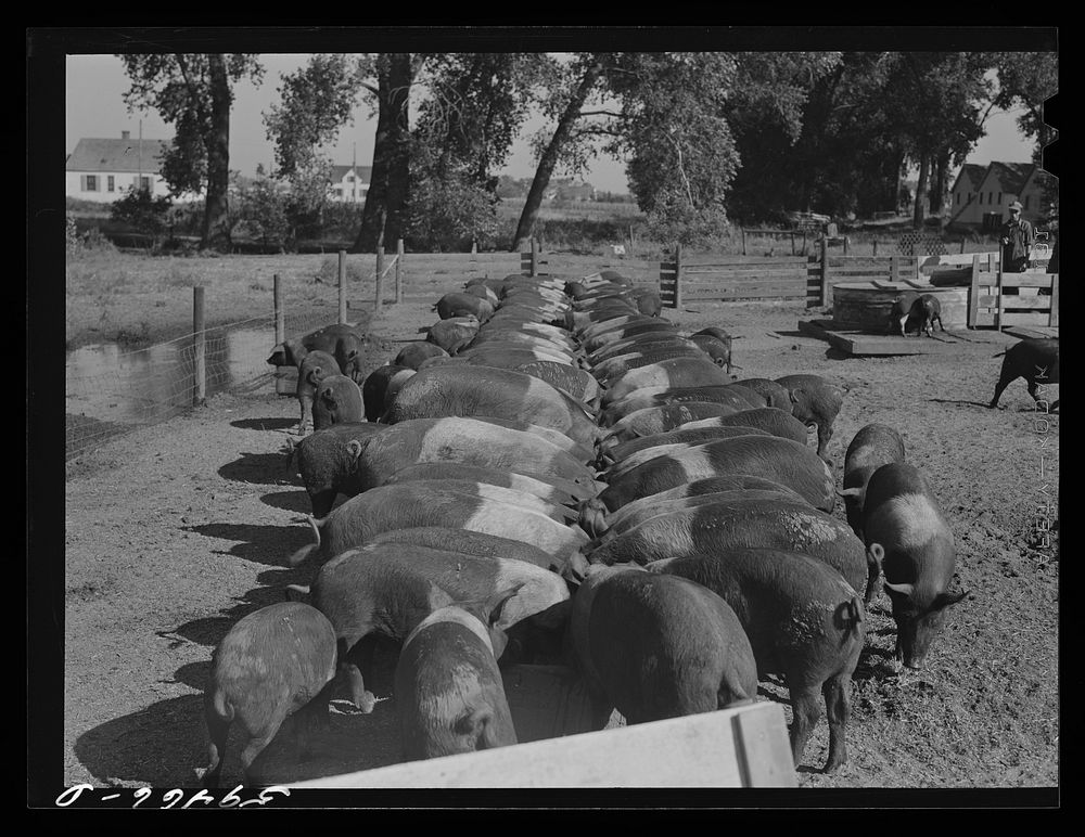 [Untitled photo, possibly related to: | Free Photo - rawpixel