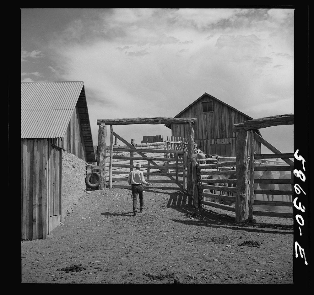 Ranch horses corral Quarter Circle | Free Photo - rawpixel