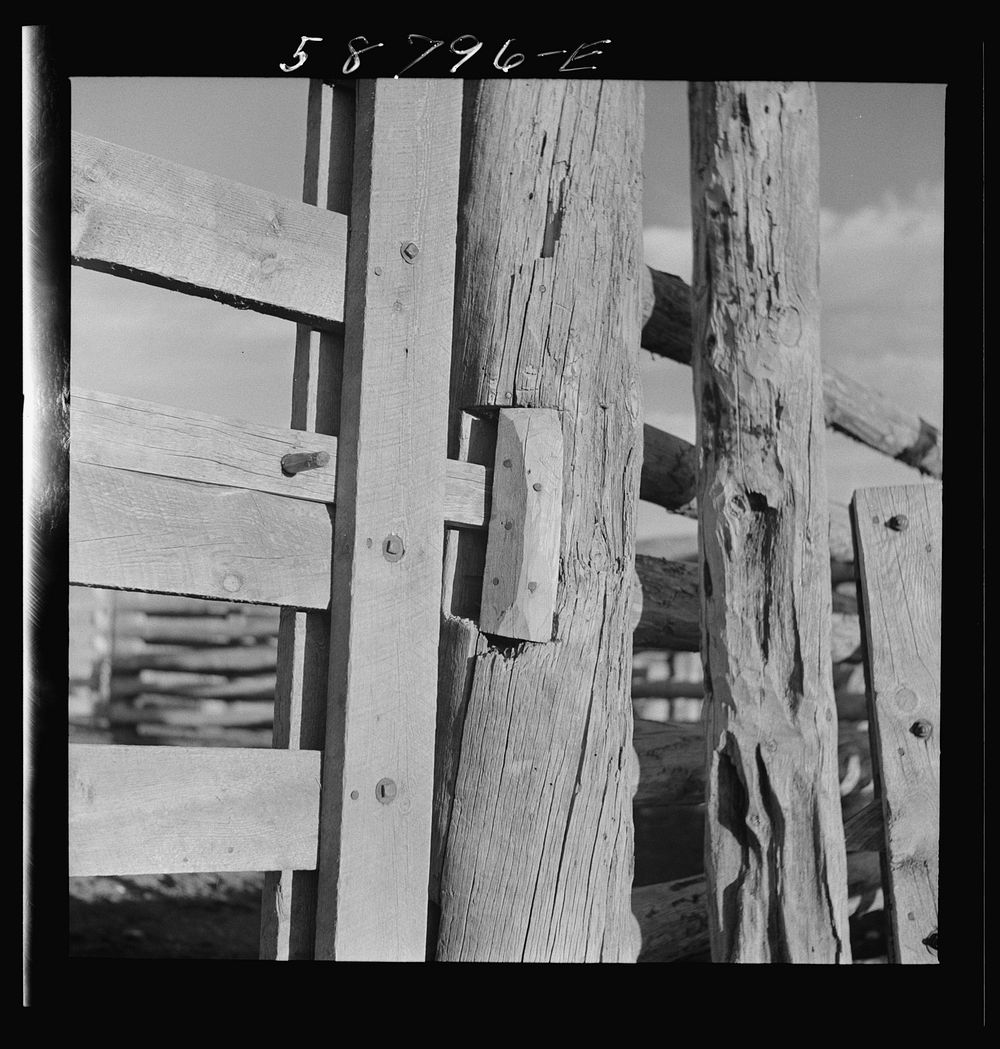 Detail corral gate and fence. | Free Photo - rawpixel
