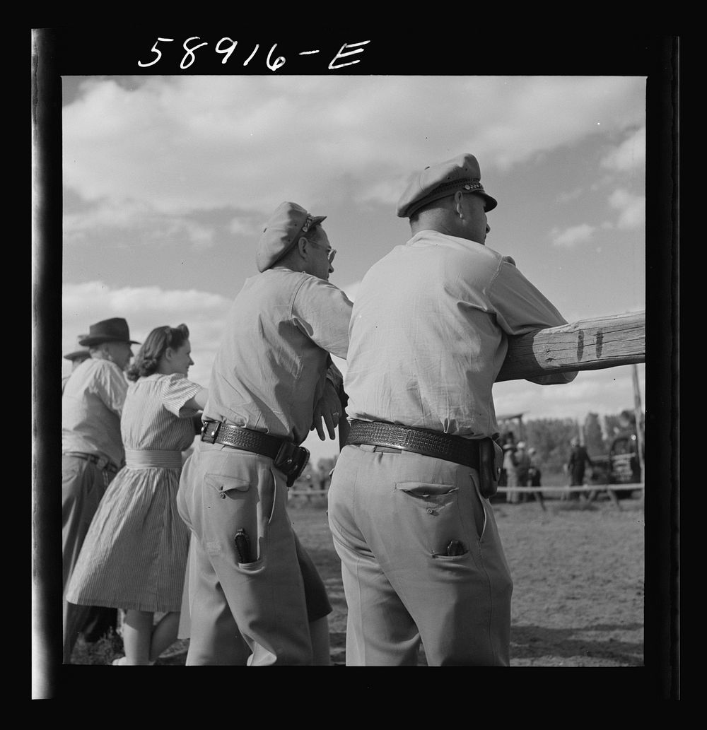 Police Crow Indian fair. Crow | Free Photo - rawpixel