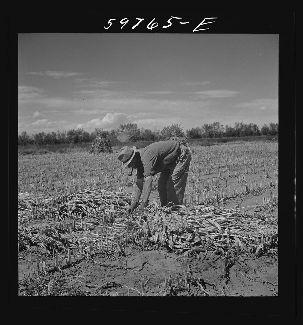 A.E. Scott's son Charles tying | Free Photo - rawpixel