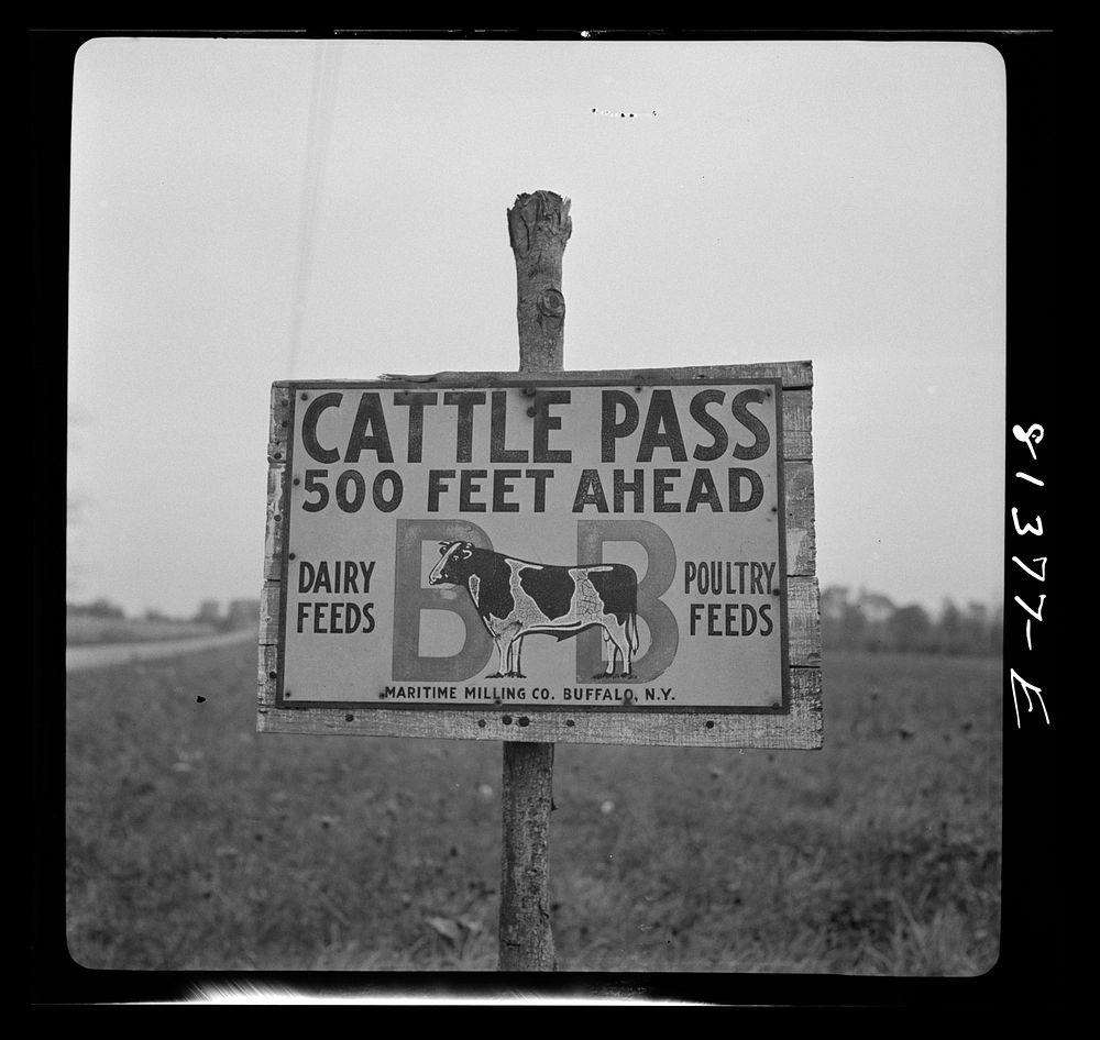 Cattle pass sign Bridgeport, New | Free Photo - rawpixel