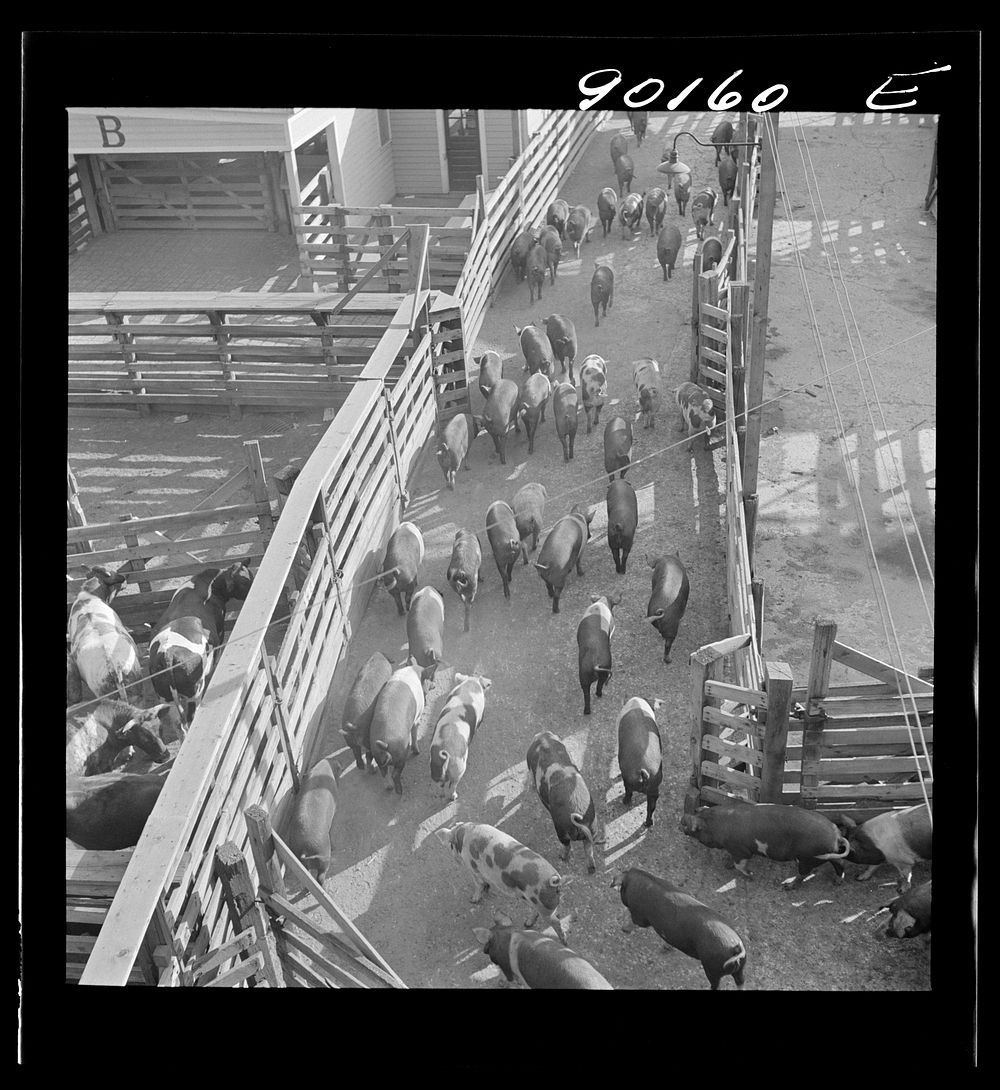 [Untitled photo, possibly related to: | Free Photo - rawpixel