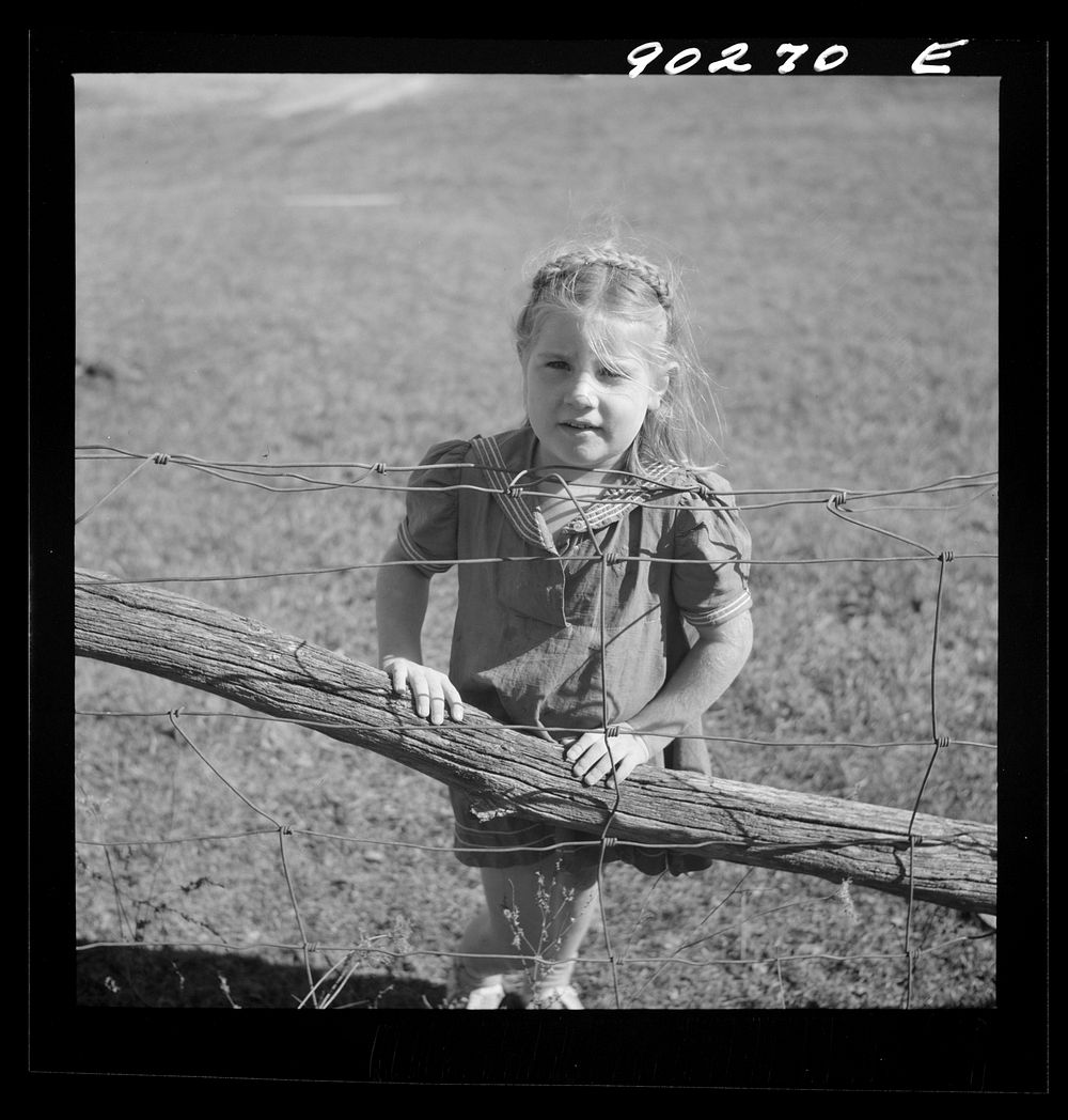 [Untitled photo, possibly related to: | Free Photo - rawpixel