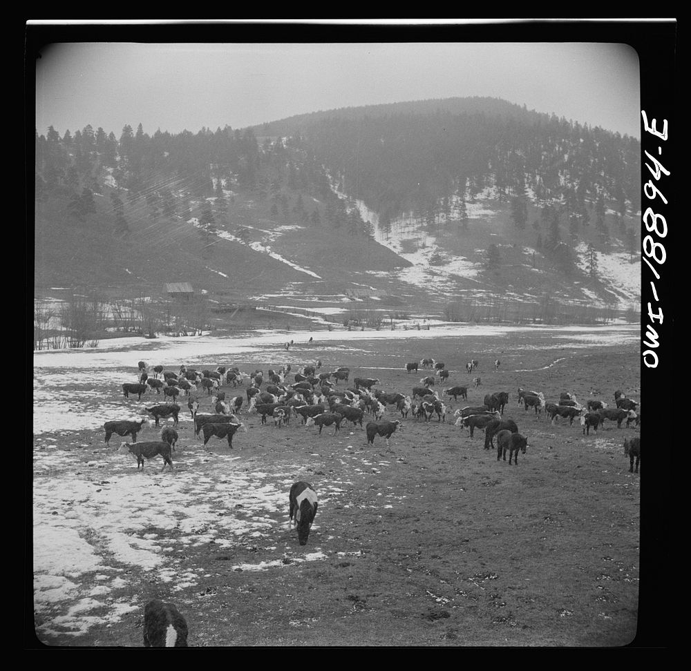 Moreno Valley, Colfax County, New | Free Photo - rawpixel