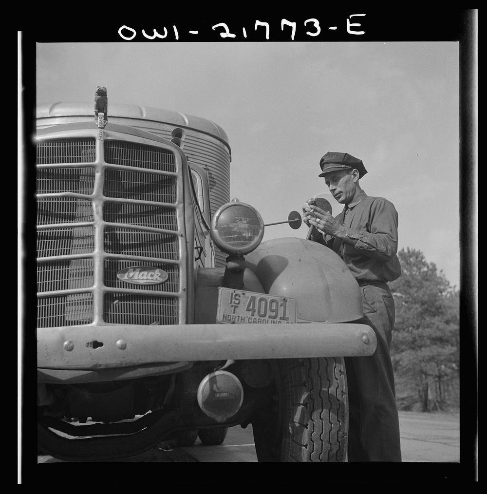 Joe Crow cleaning rear view | Free Photo - rawpixel