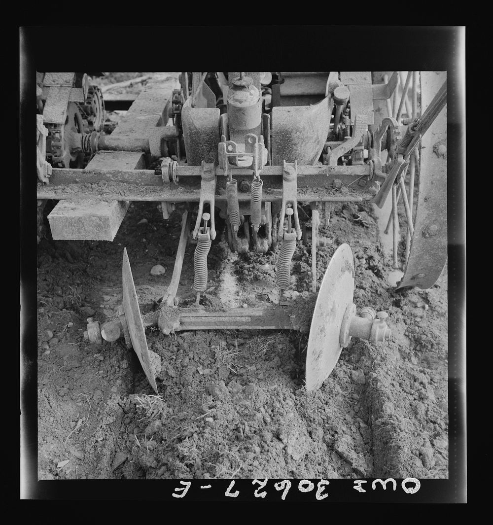 Spring potato planting French Acadian | Free Photo - rawpixel