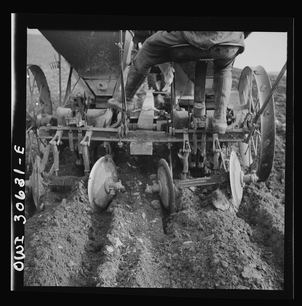 Spring potato planting French Acadian | Free Photo - rawpixel
