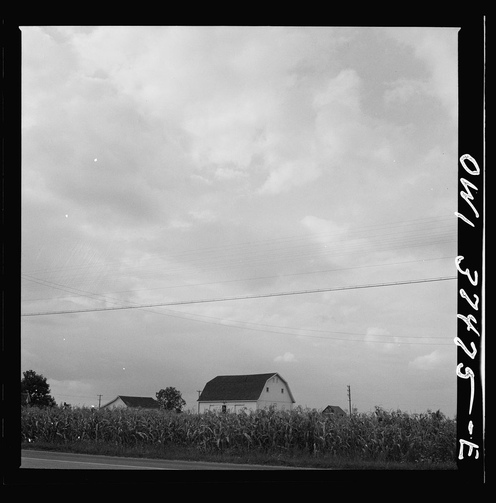Farms along bus route Columbus | Free Photo - rawpixel