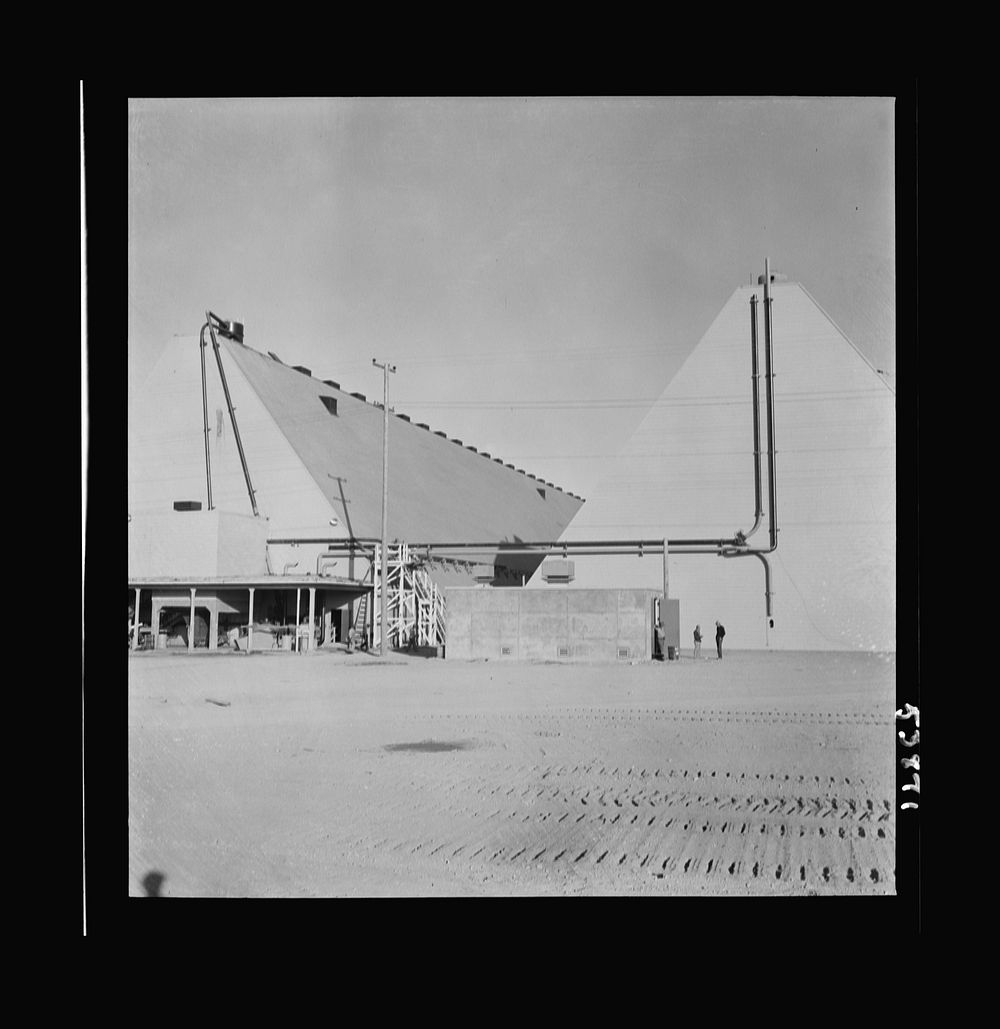 Las Vegas, Nevada. Two peat | Free Photo - rawpixel