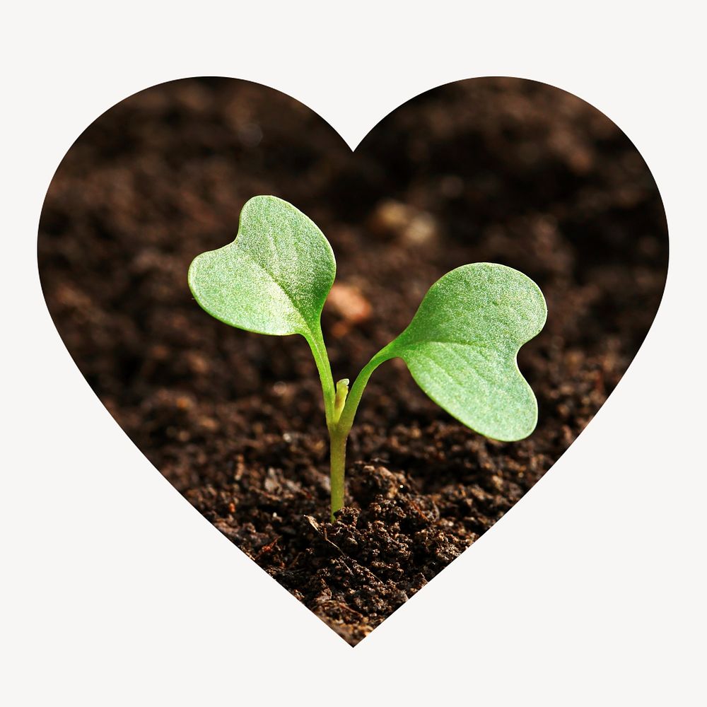 Sprout heart shape badge, environment | Free Photo - rawpixel