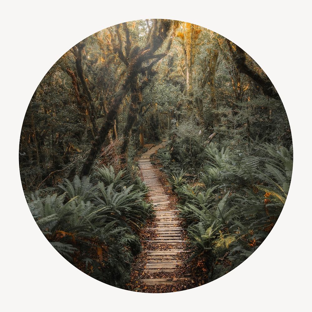 Forest pathway circle shape badge, | Free Photo - rawpixel