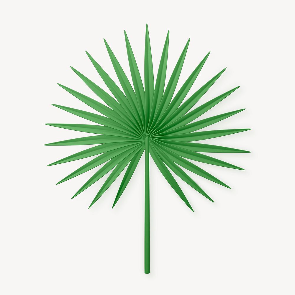 Cartoon fan palm clipart, botanical | Free Photo Illustration - rawpixel