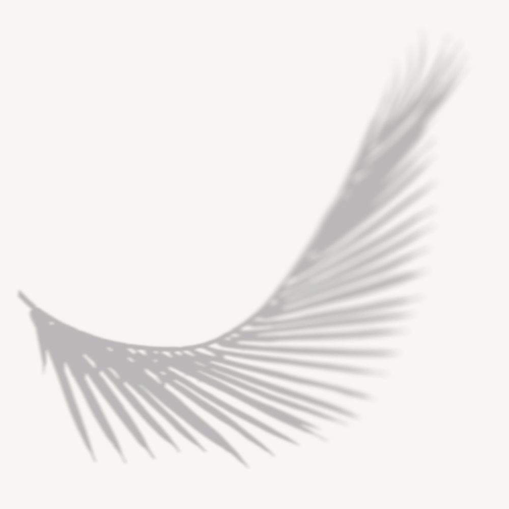 Coconut palm leaf shadow, tropical | Free Photo - rawpixel