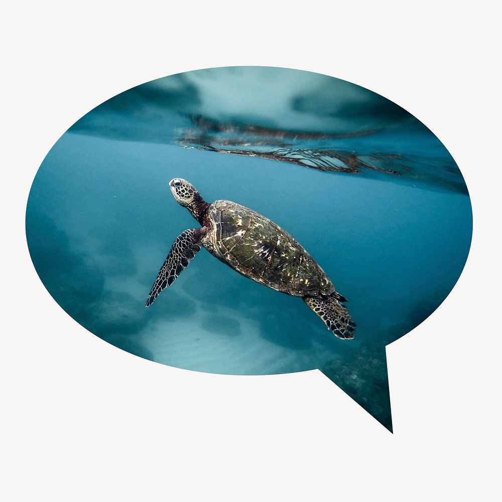 Sea turtle speech bubble badge, | Free Photo - rawpixel
