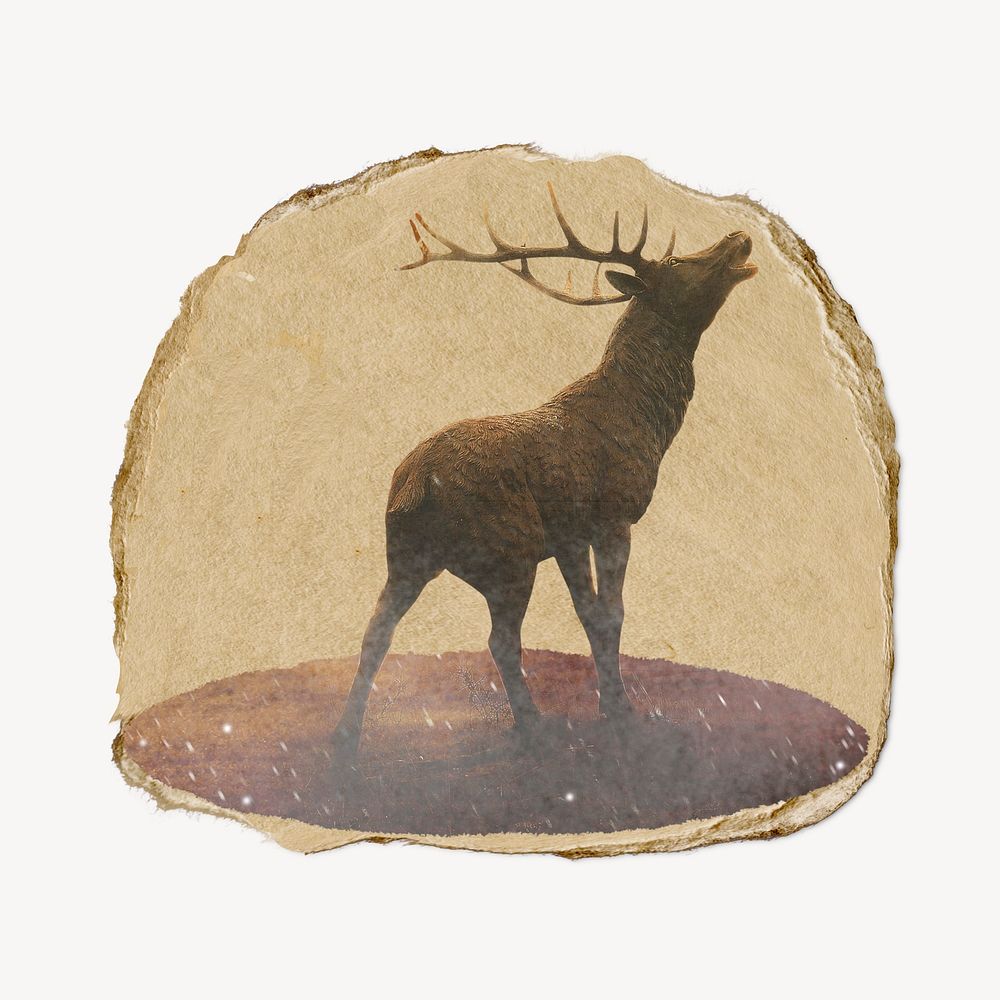 Stag, animal, ripped paper collage | Free Photo - rawpixel