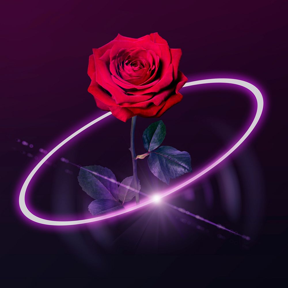 Digital rose, love and technology | Free Photo - rawpixel