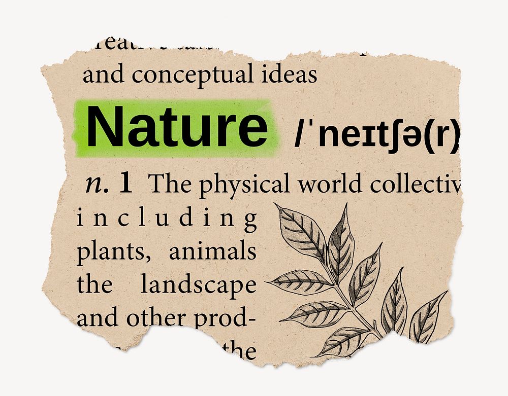 Nature definition, vintage ripped dictionary | Free Photo - rawpixel