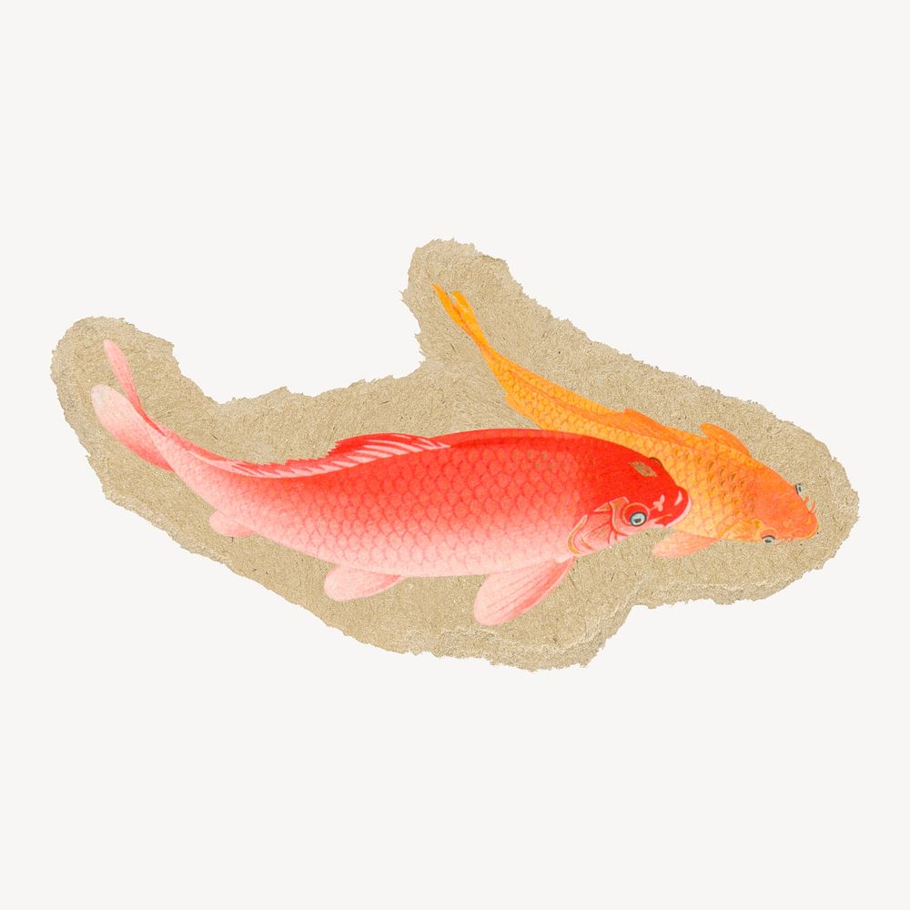 Carp fish sticker, ripped paper | Premium PSD - rawpixel