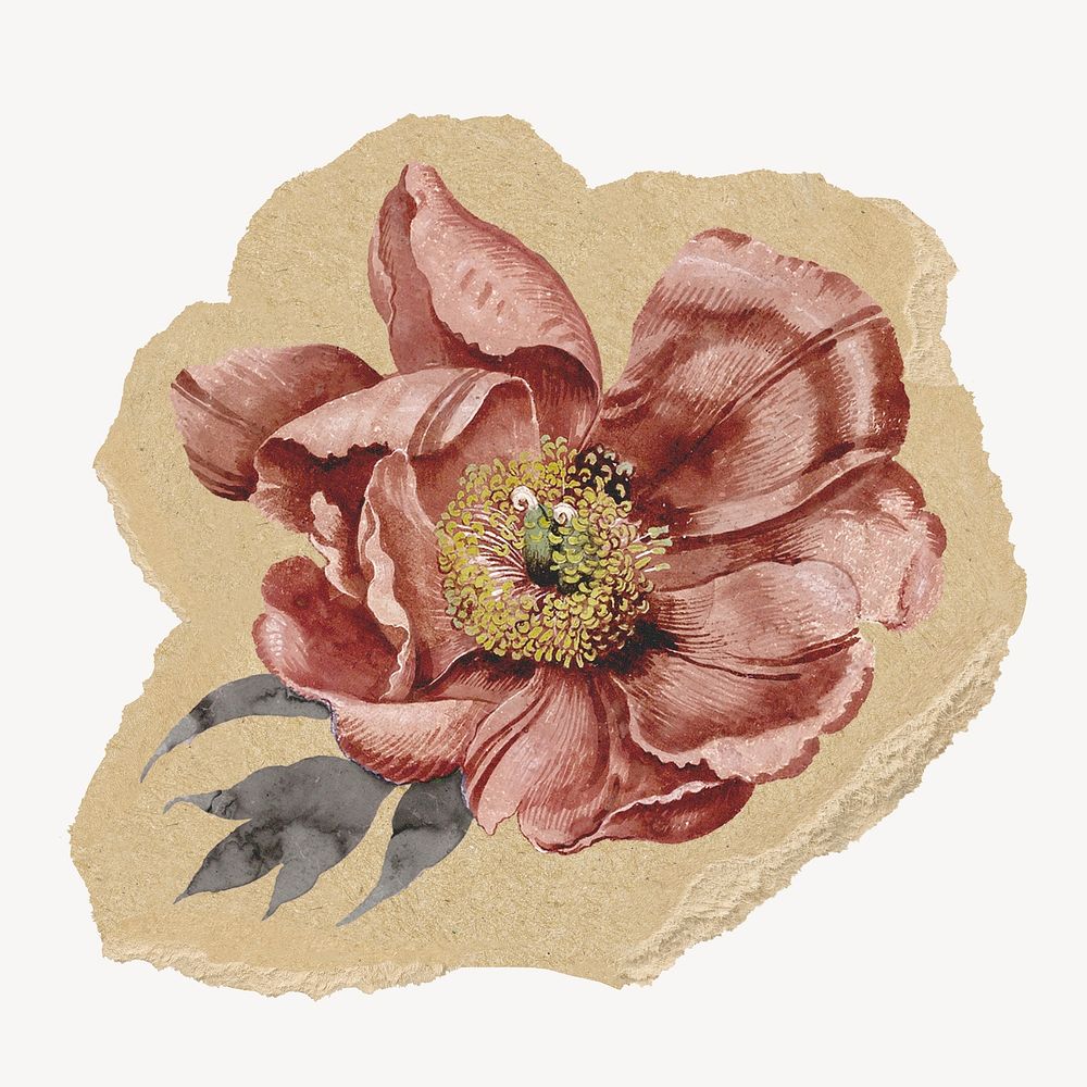 Pink dry flower ripped paper | Free Photo Illustration - rawpixel
