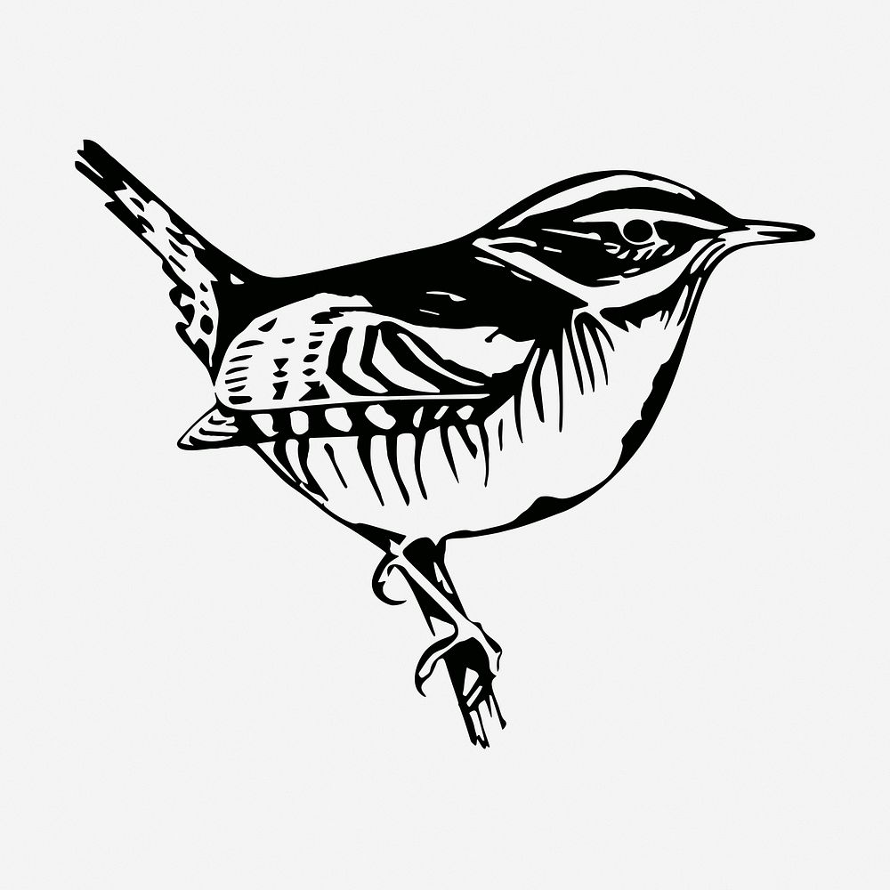 Perched bird vintage illustration | Free Photo Illustration - rawpixel