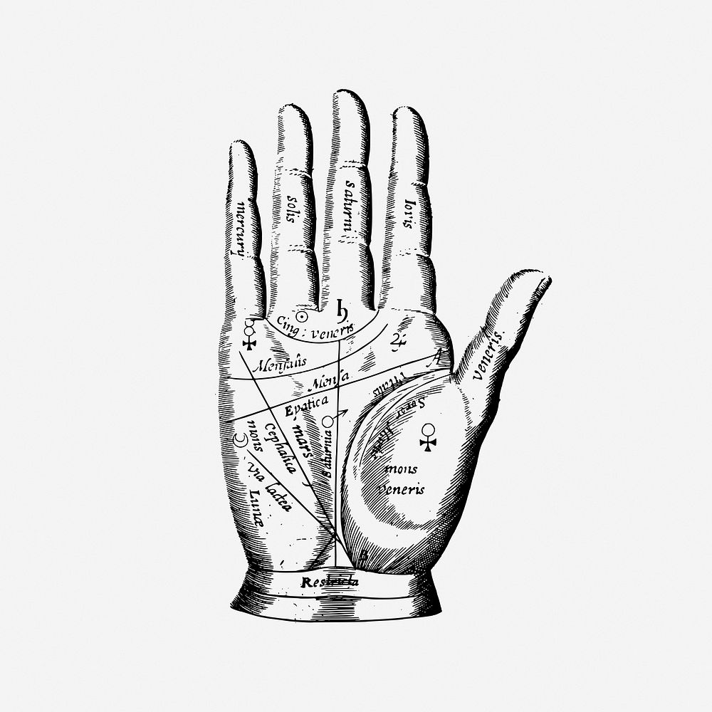 Fortune teller hand, drawing illustration. | Free Photo Illustration ...