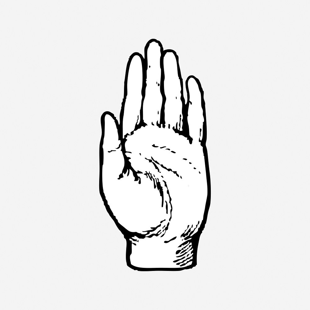 Palm hand, black & white | Free Photo - rawpixel