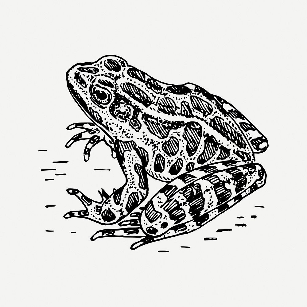 Frog collage element, black & | Free PSD - rawpixel