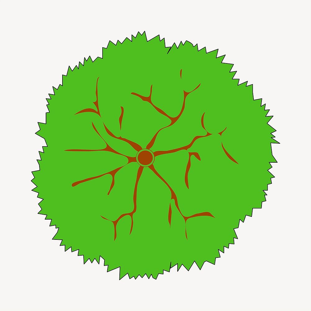 Tree top view illustration. Free | Free Photo - rawpixel