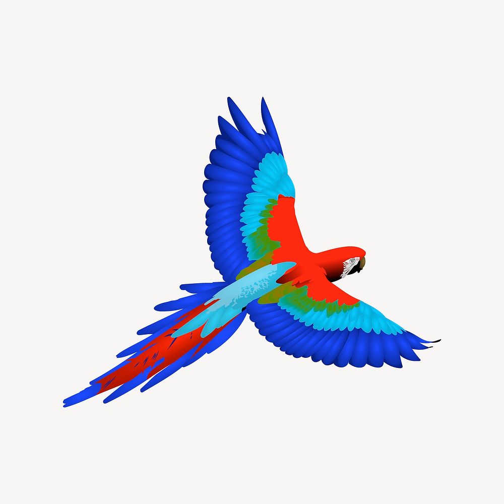 Macaw bird clip art, | Free Photo - rawpixel