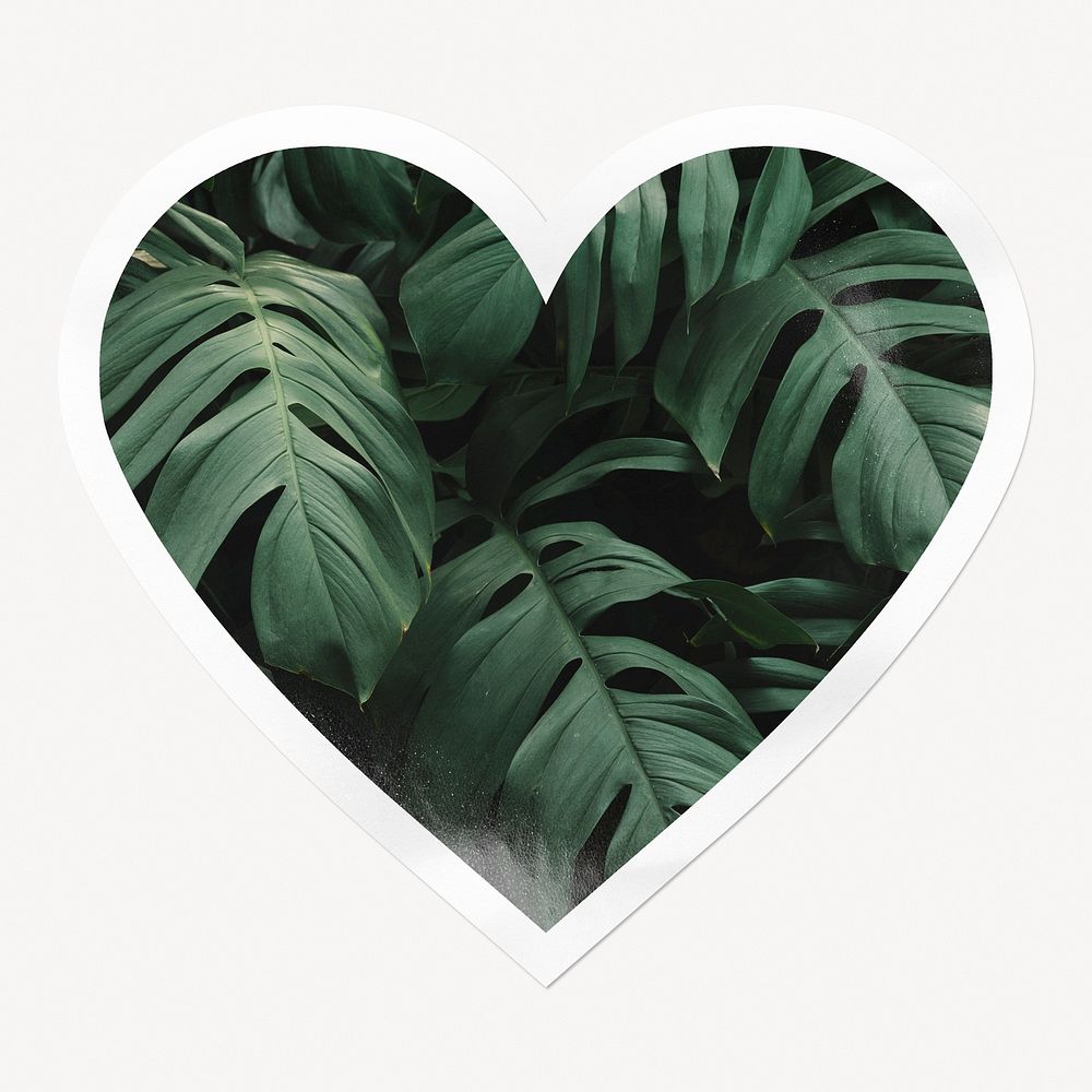 Monstera leaf heart badge, tropical | Free Photo - rawpixel