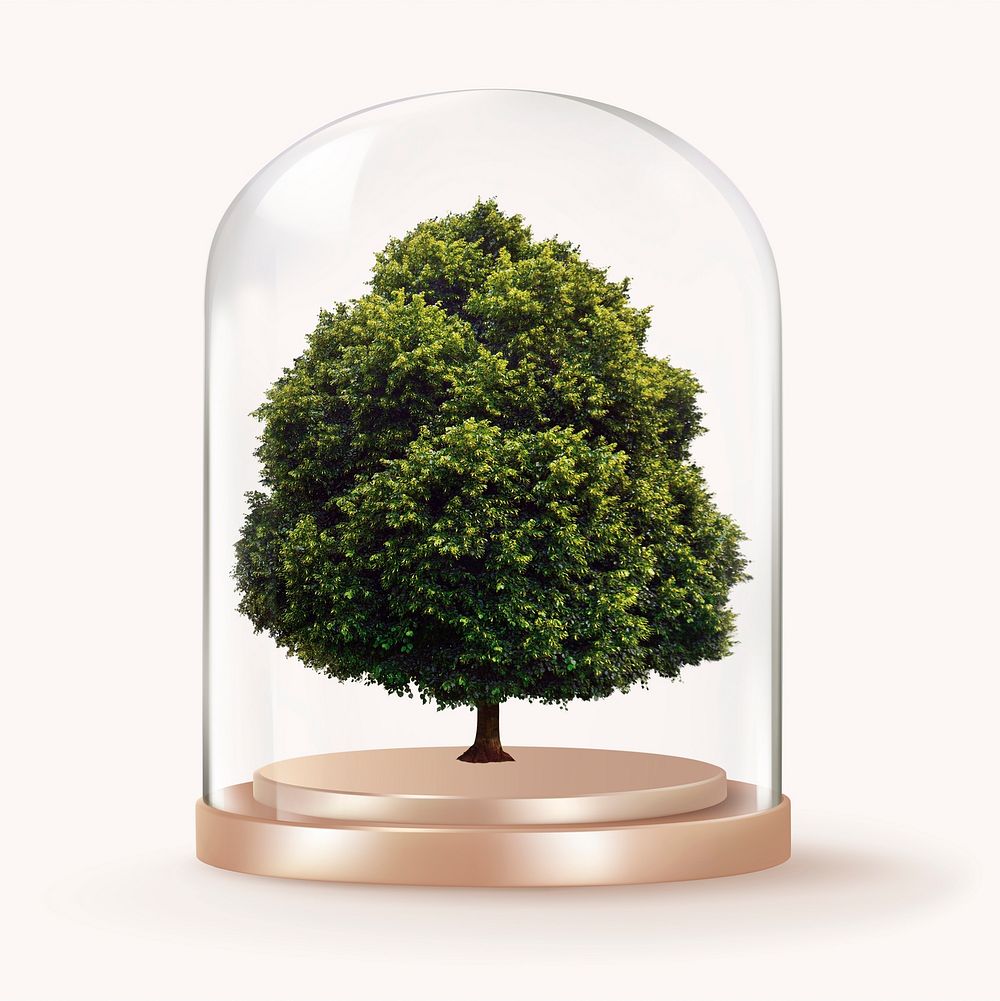 Lone tree in glass dome, | Free Photo - rawpixel