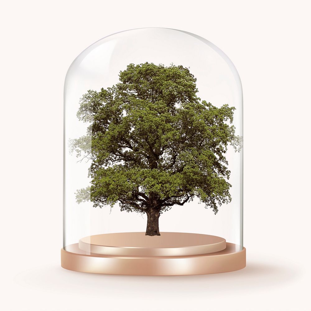 Lone tree in glass dome, | Free Photo - rawpixel