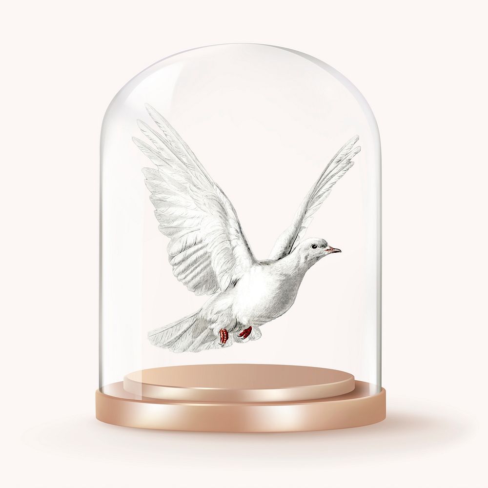 Flying dove glass dome, bird | Free Photo - rawpixel