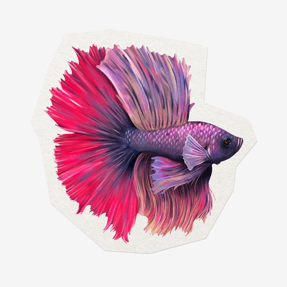 Colorful betta fish, cut paper | Premium Photo - rawpixel