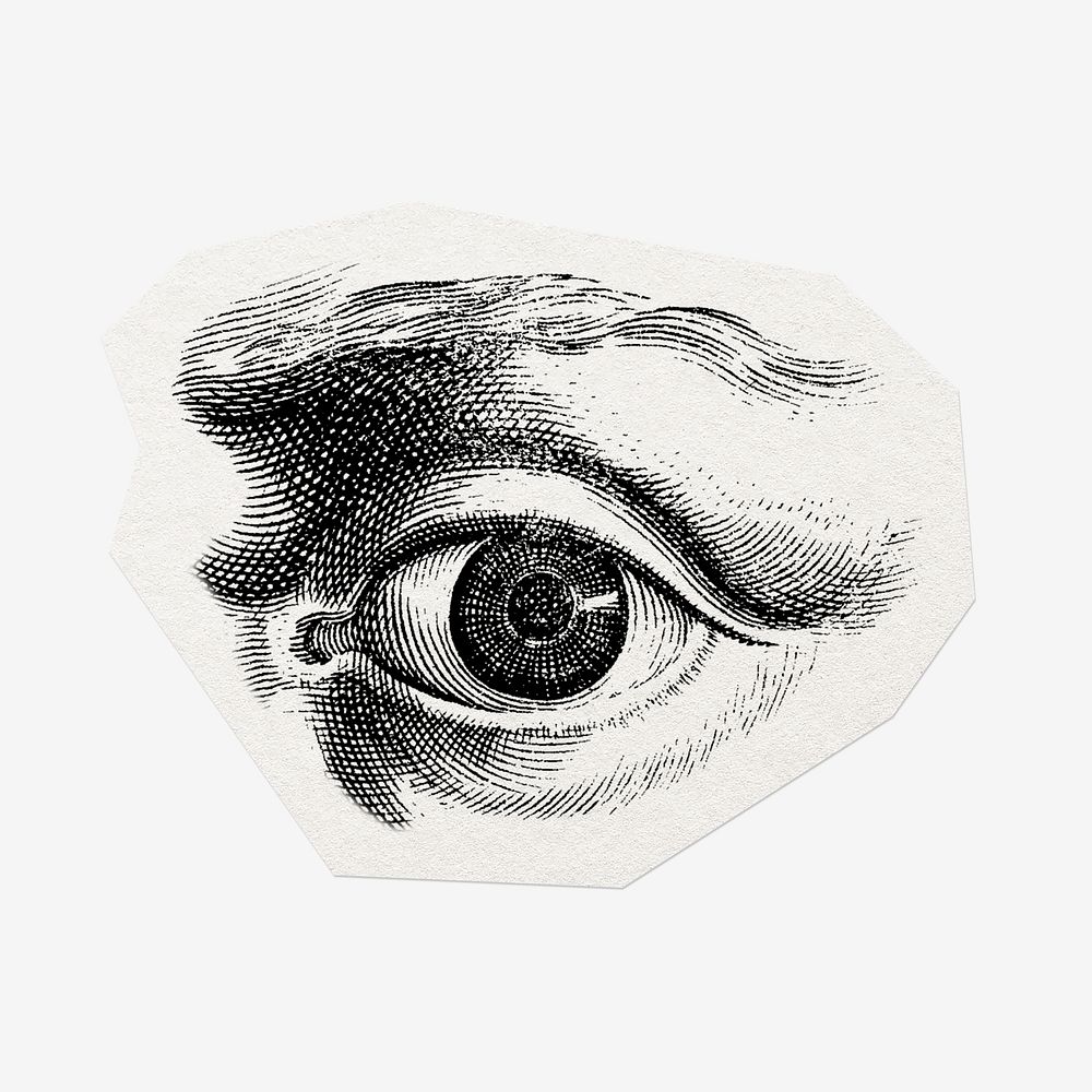 Eye sketch, cut paper, white | Premium Photo - rawpixel Eye sketch, cut paper, white | Premium Photo - rawpixel