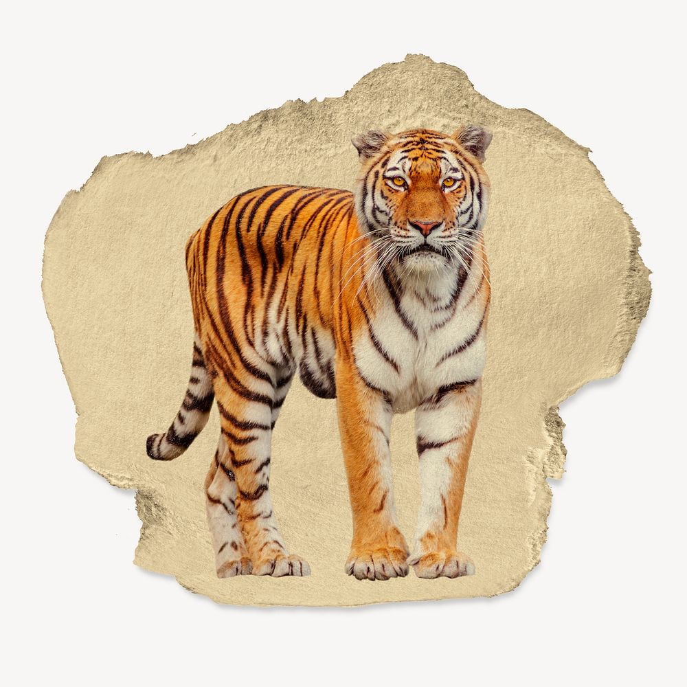 Tiger animal sticker, ripped paper | Premium PSD - rawpixel