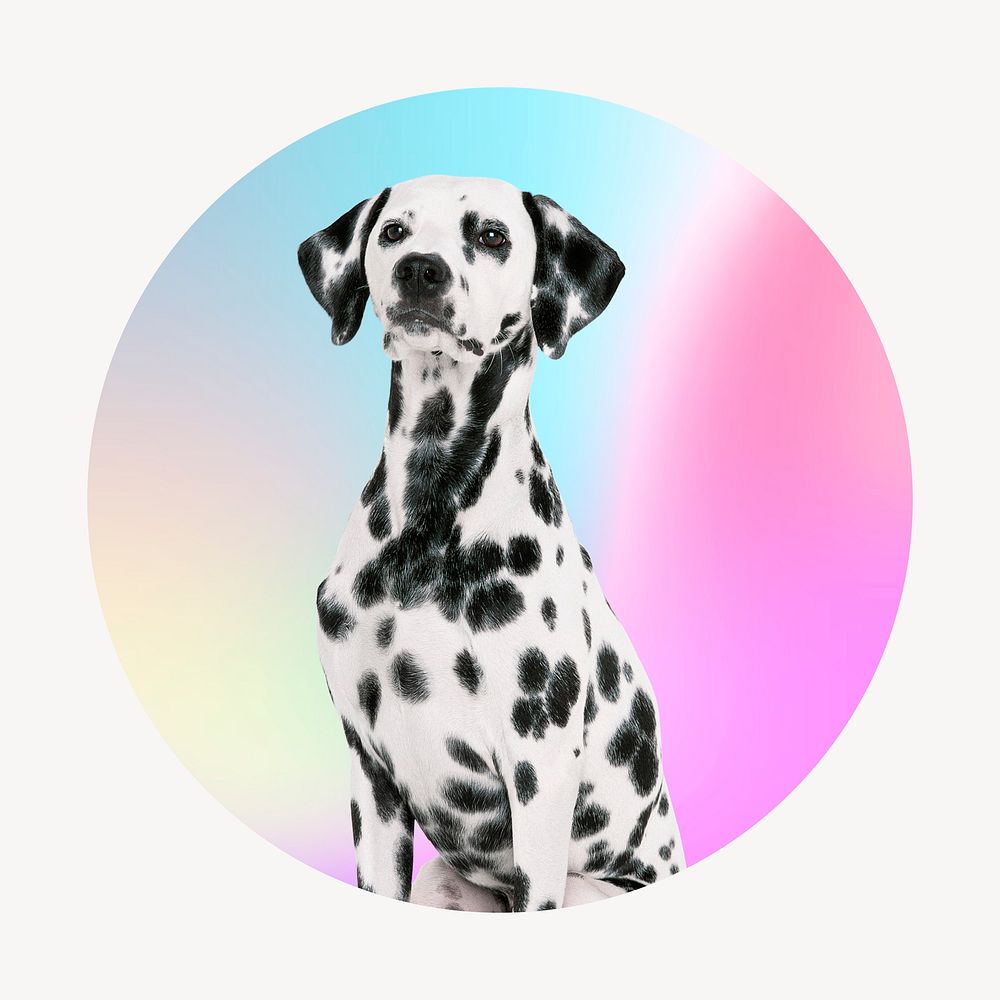Dalmatian dog gradient shape, round | Free Photo - rawpixel