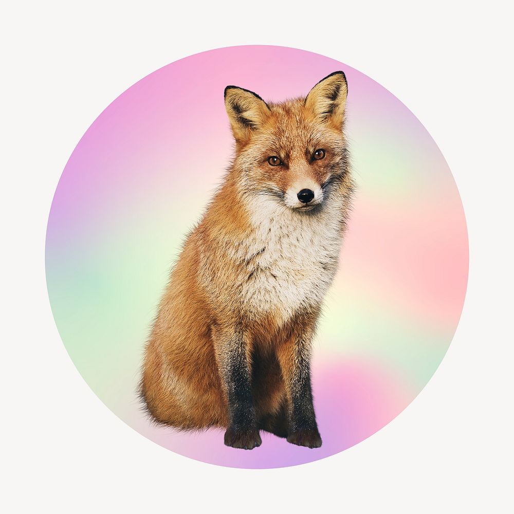Young fox, round badge clipart | Free Photo - rawpixel