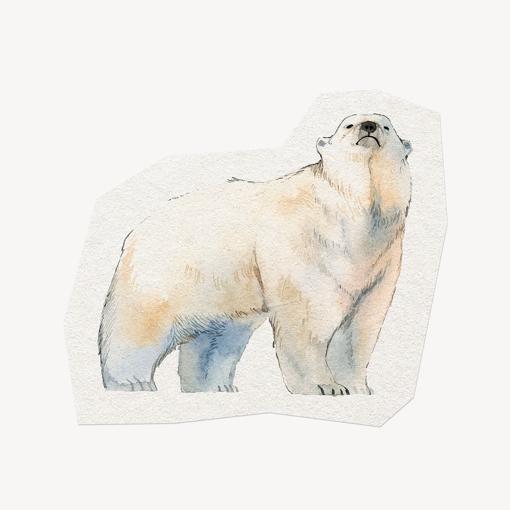 Polar bear, animal clipart sticker, | Premium Photo - rawpixel