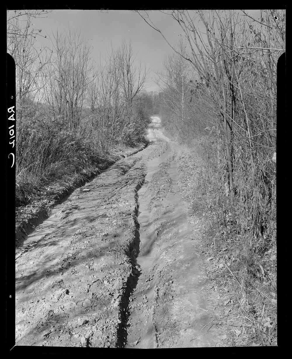 Poor country road typical this | Free Photo - rawpixel