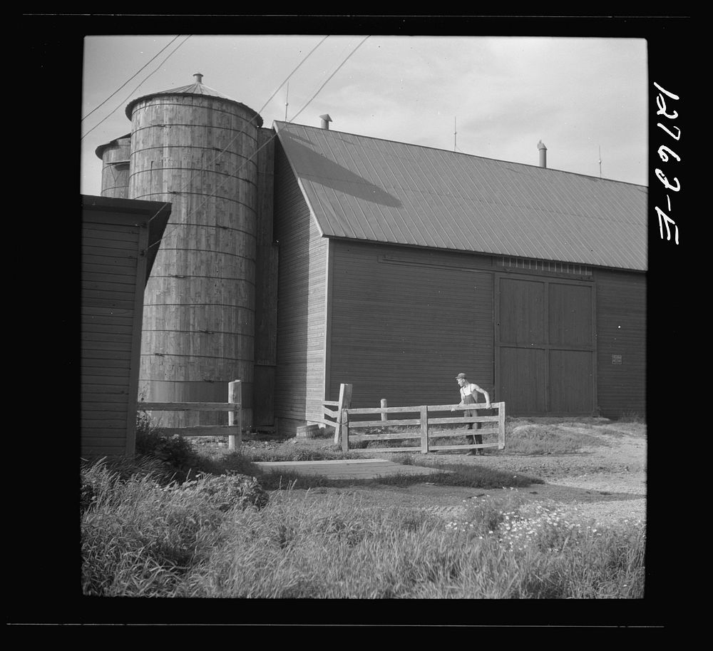 Prosperous dairy farm Bristol, Vermont. | Free Photo - rawpixel