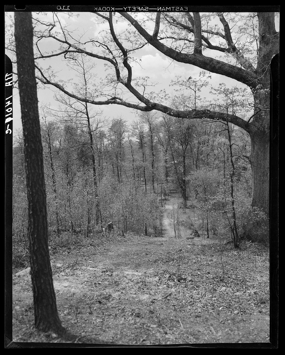 Footpath surrounding town. Berwyn, Maryland. | Free Photo - rawpixel
