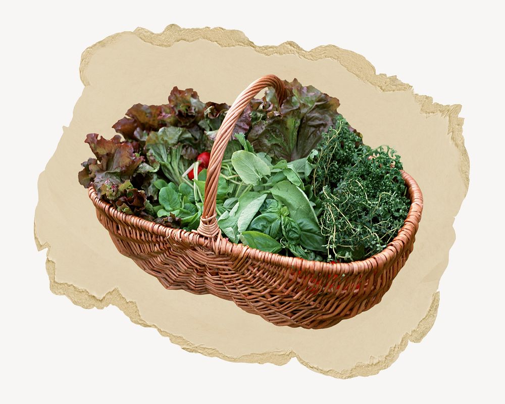 Vegetable basket, ripped paper collage | Premium Photo - rawpixel