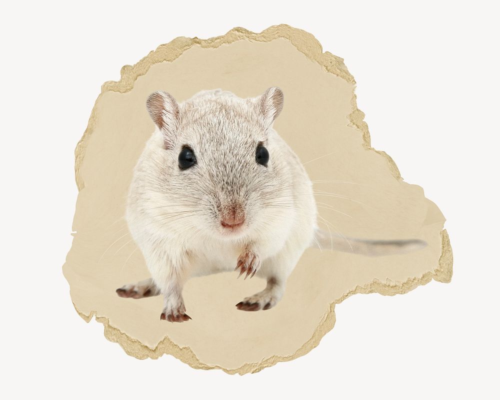 Cute mouse, ripped paper collage | Premium Photo - rawpixel