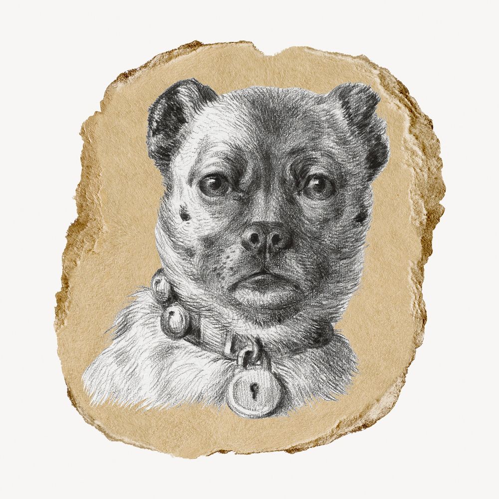 Dog illustration, drawing artwork, ripped | Free Photo - rawpixel