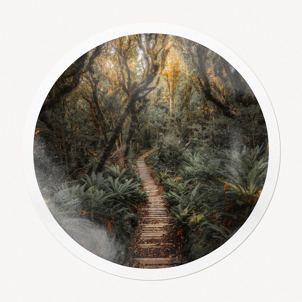 Forest pathway in circle frame, | Free Photo - rawpixel