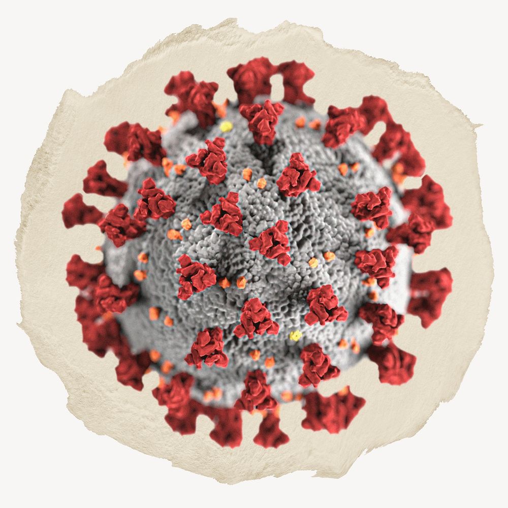 COVID-19 ultrastructure, ripped paper collage | Premium Photo - rawpixel