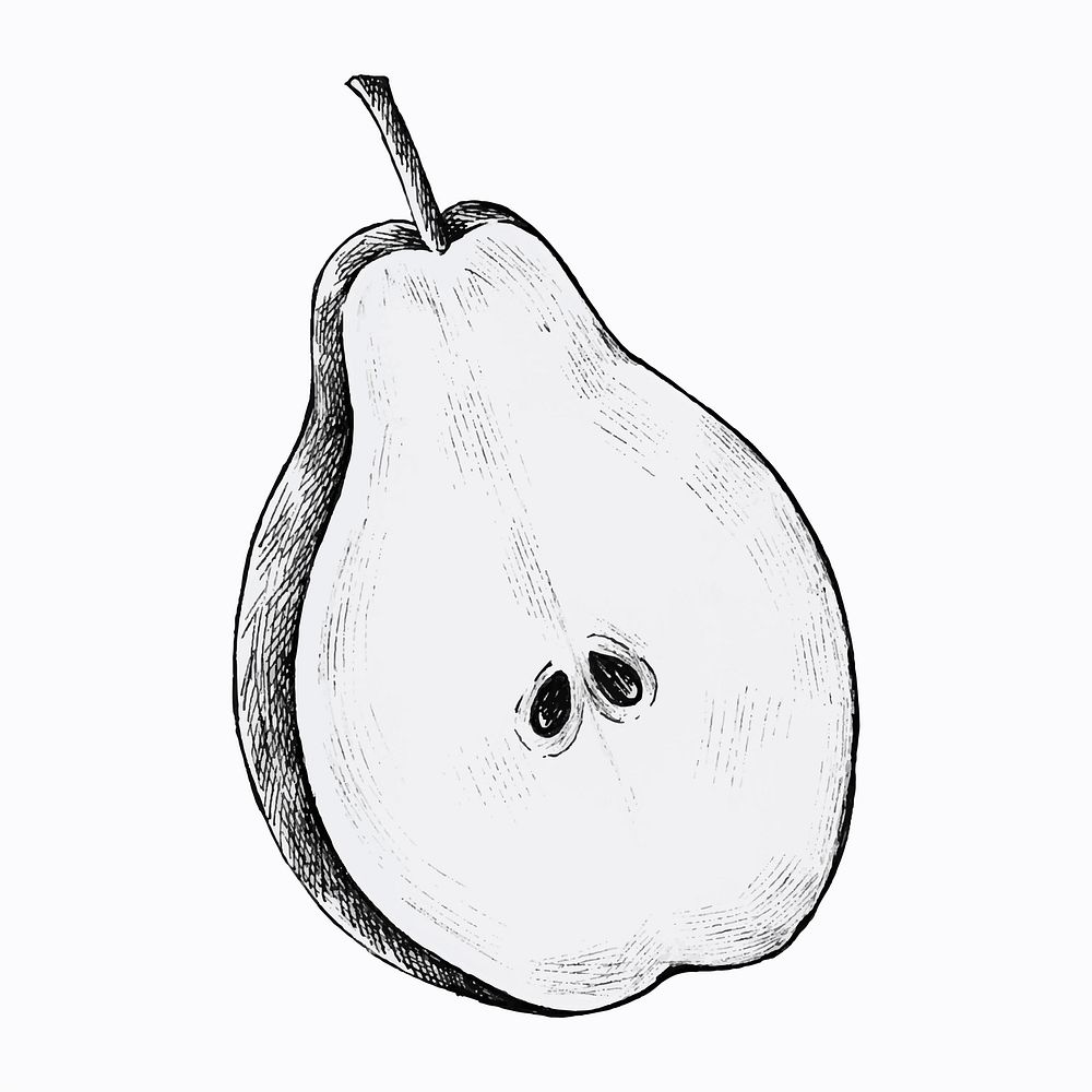 Hand drawn half cut pear | Premium Vector Illustration - rawpixel